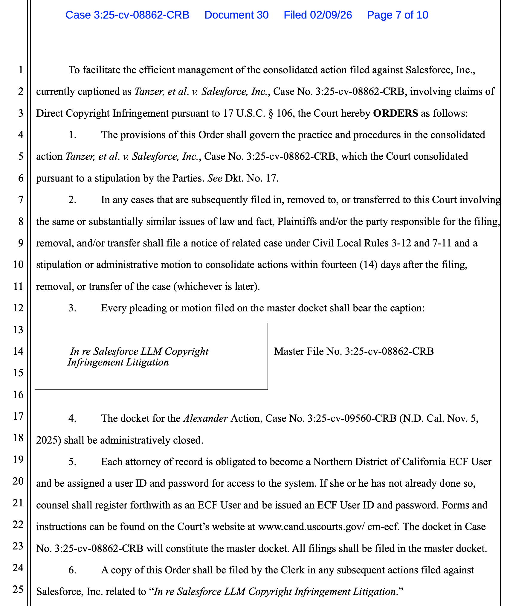 Tanzer, Alexander lawsuits renamed In re Salesforce LLM Copyright ...